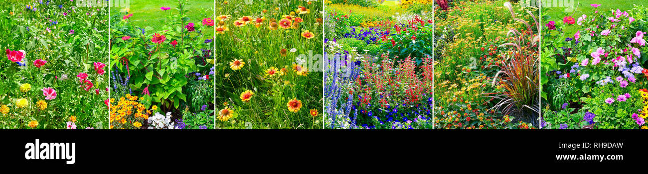 Set panoramic photos variety flowering flowers Stock Photo - Alamy