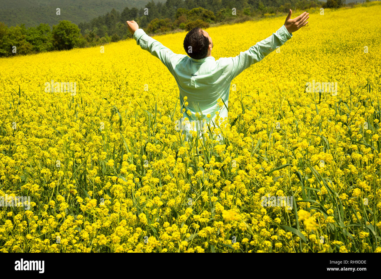 Man standing in field hi-res stock photography and images - Alamy