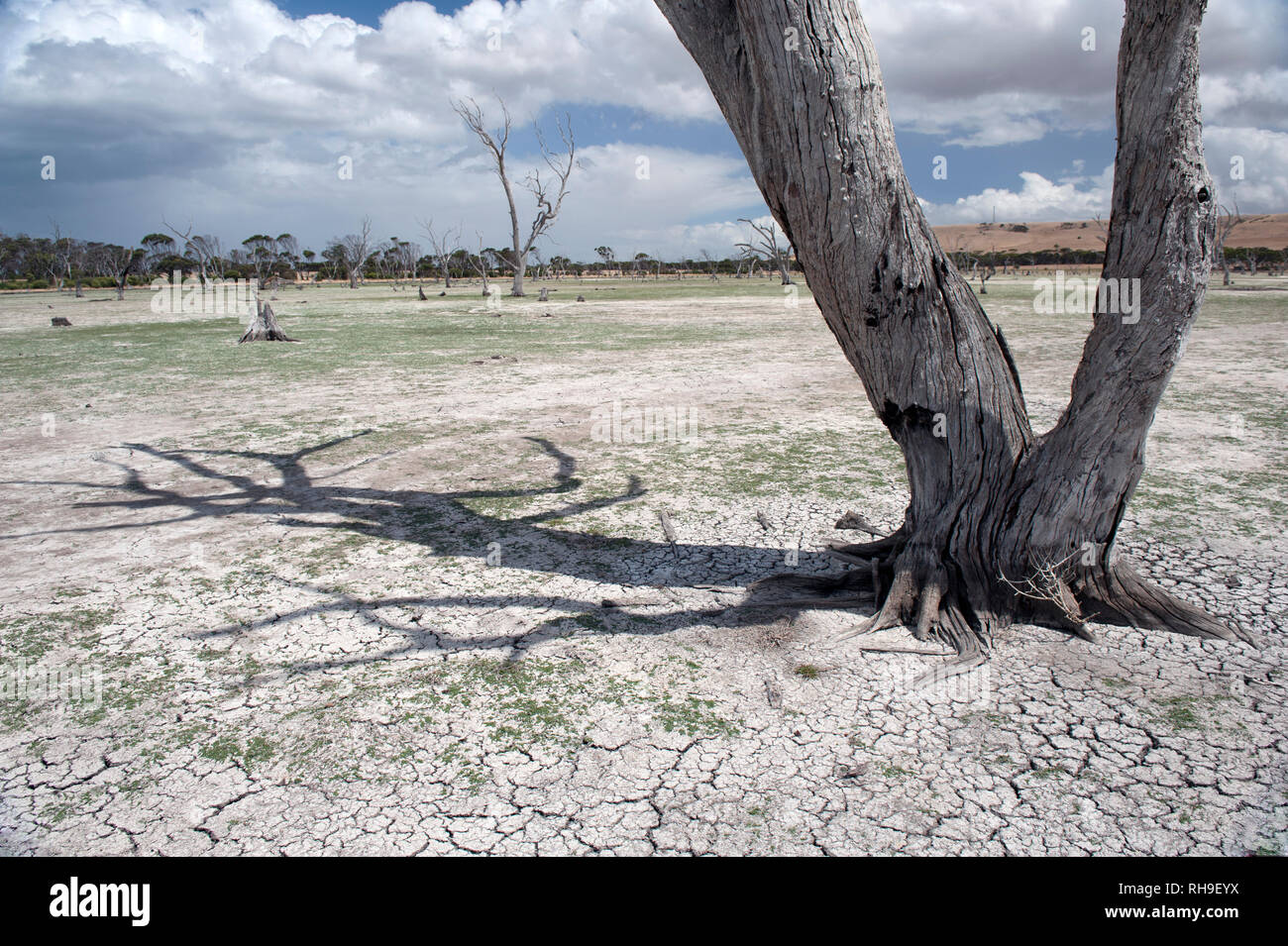Parched land drought australia hi-res stock photography and images - Alamy