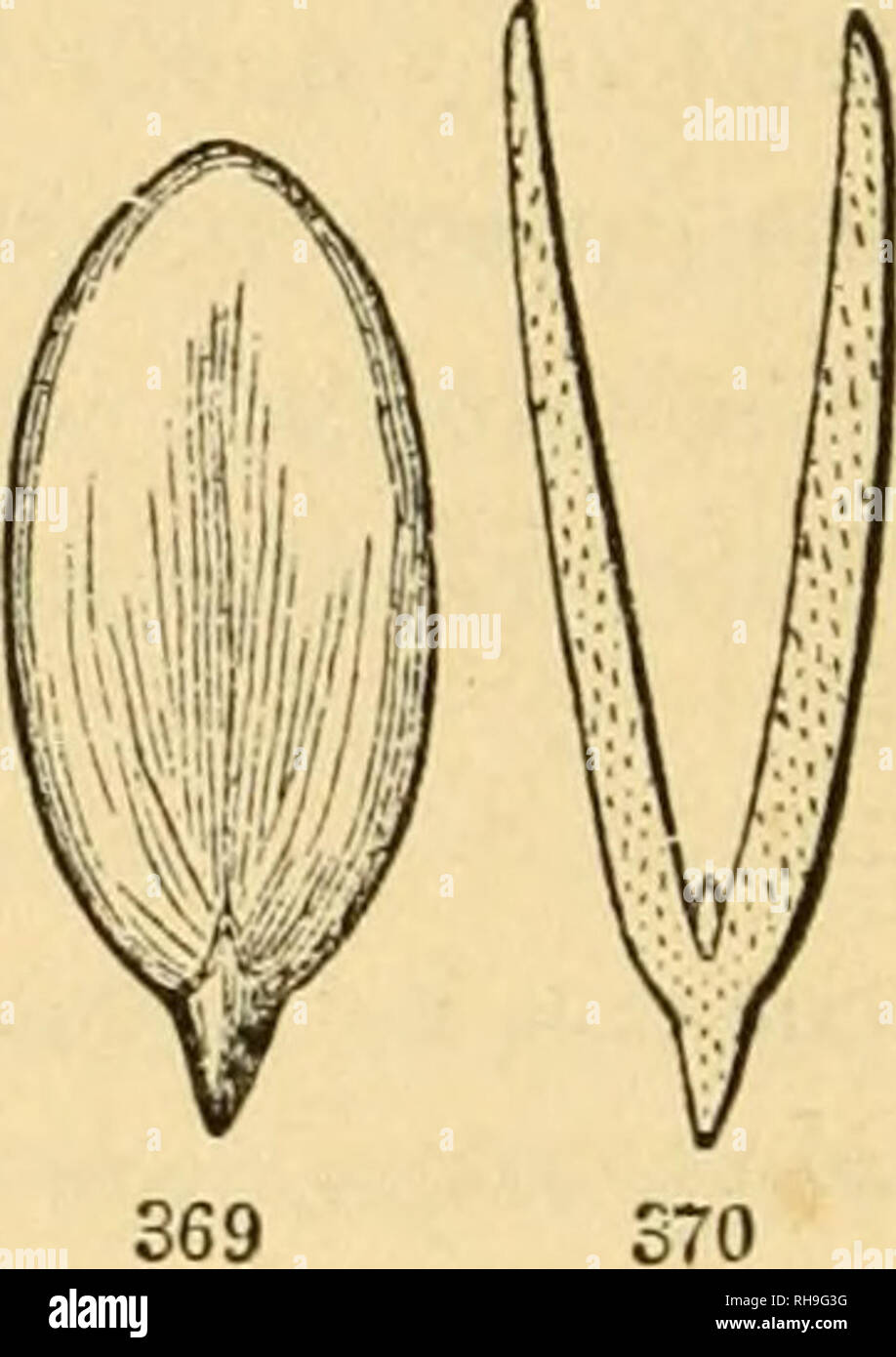 Cucurbitace hi-res stock photography and images - Alamy