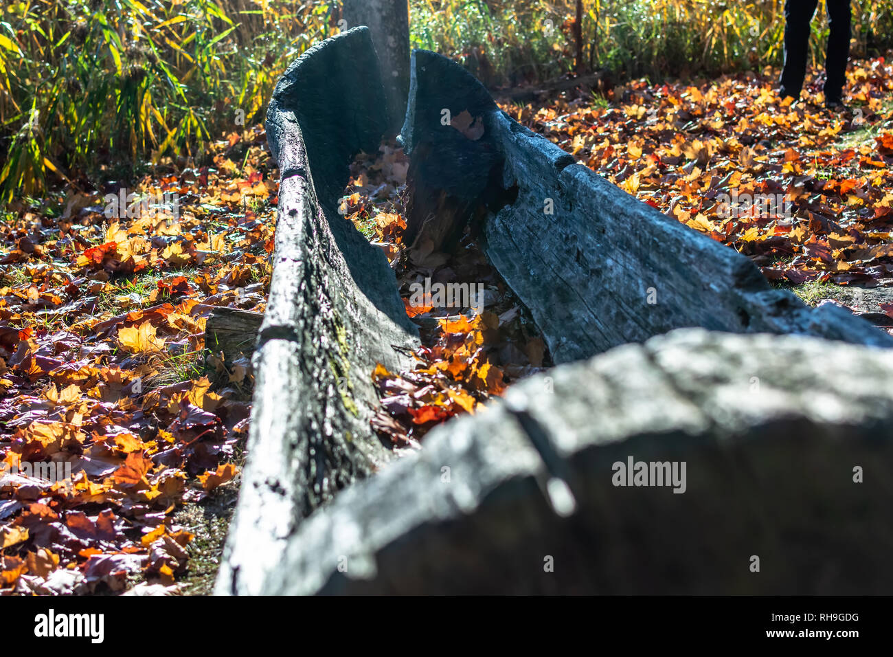 Stone age boat hi-res stock photography and images - Alamy