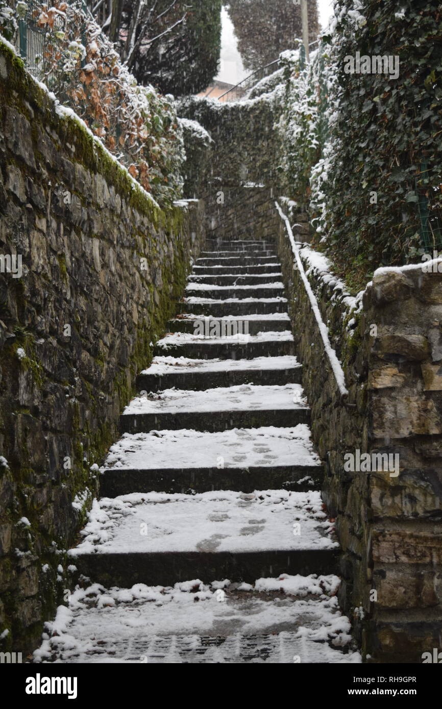 Icy cold scene hi-res stock photography and images - Alamy