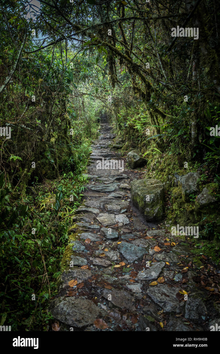 Machu picchu inti punku sun gate hi-res stock photography and images ...