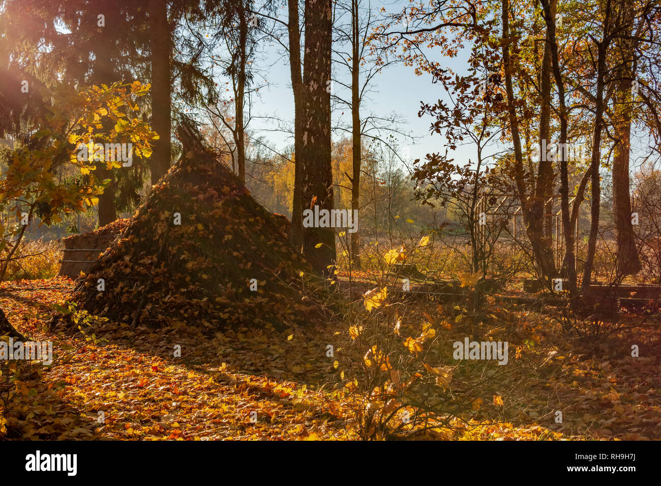 Old reed dwelling of the ancient tribe of Latgallians sprinkled with ...