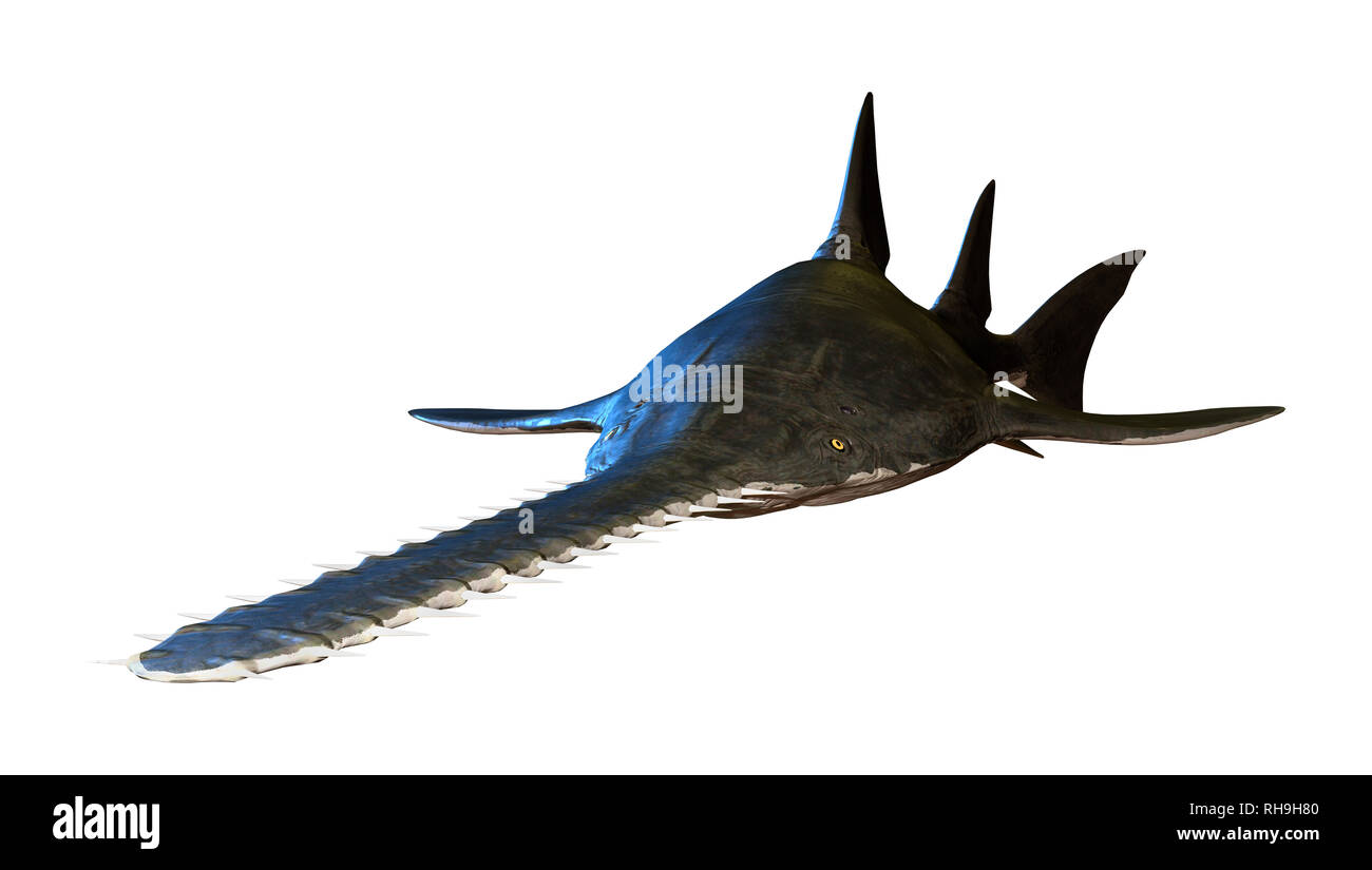 3D rendering of an Onchopristis, a genus of extinct giant ...