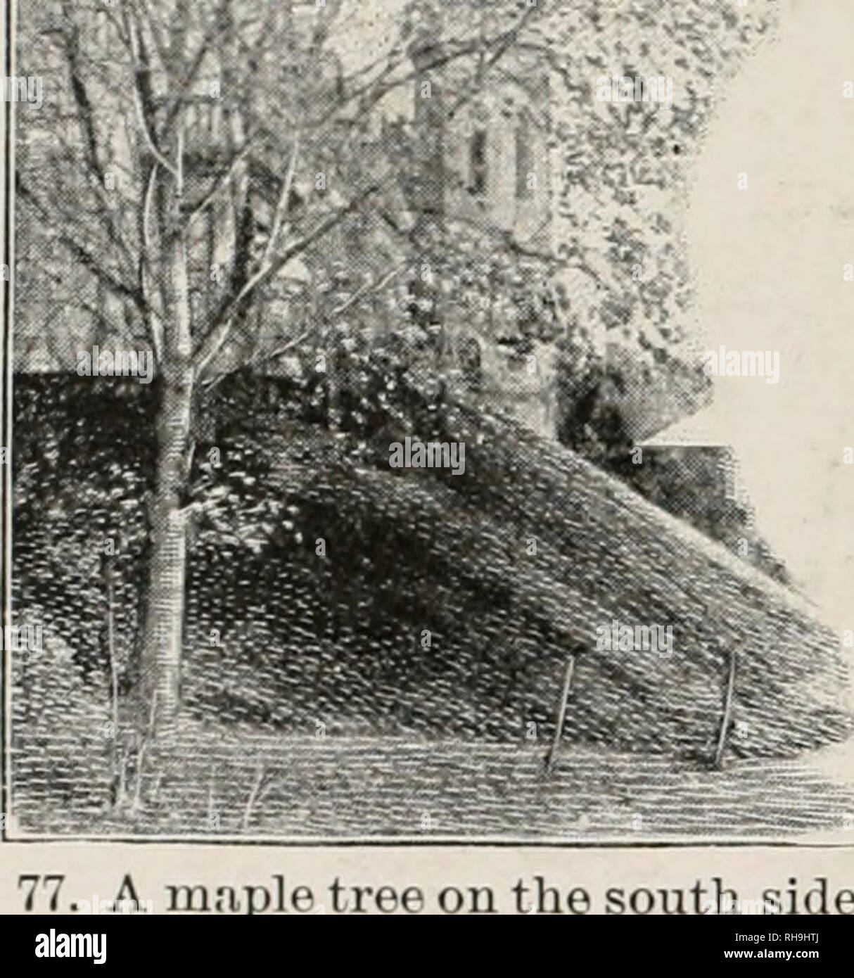 One half fraction with numerator hi-res stock photography and images ...
