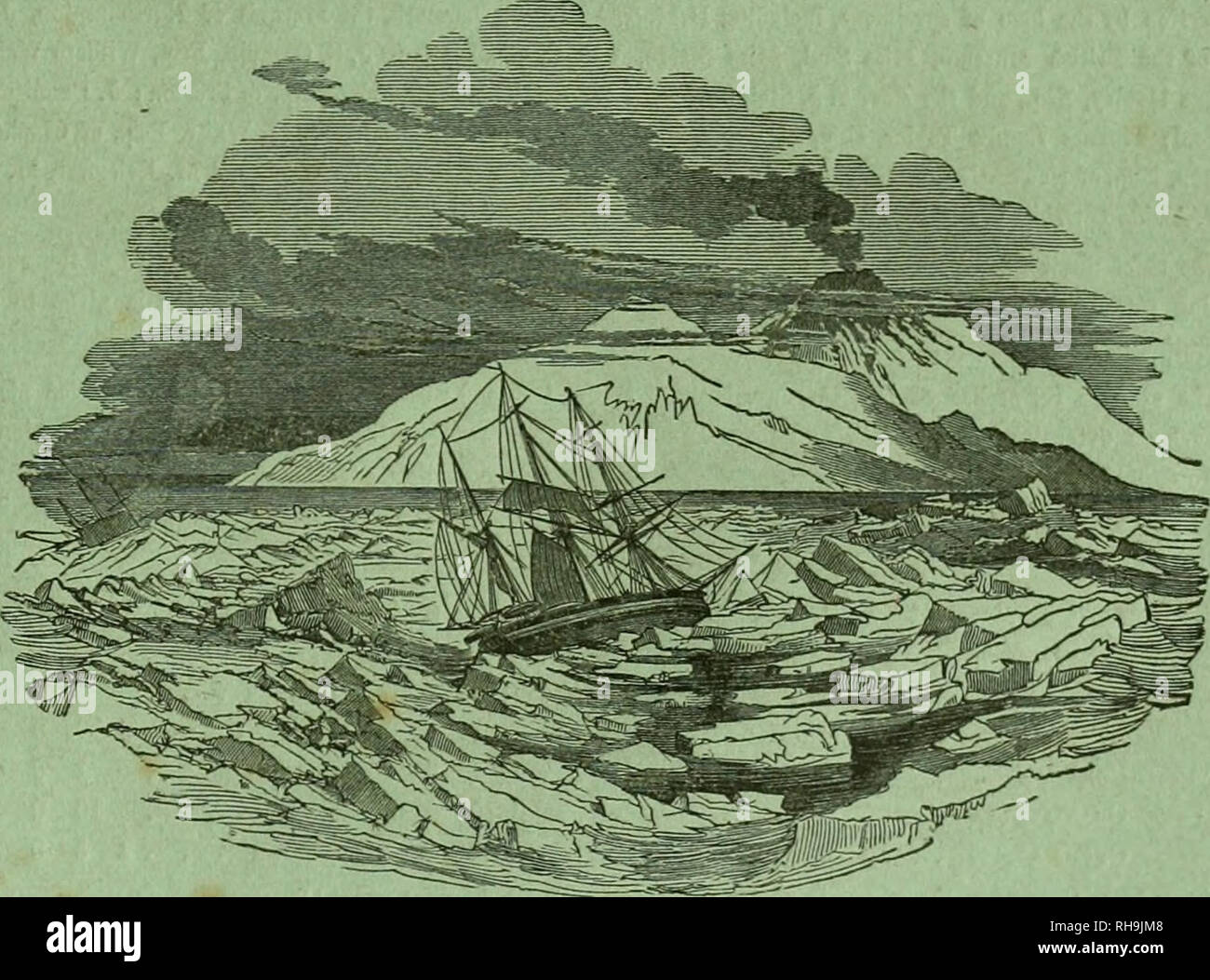 . The botany of the Antarctic voyage of H.M. discovery ships Erebus and ...