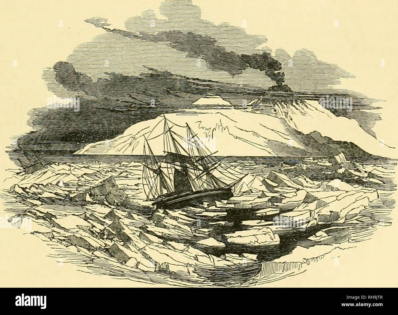 . The botany of the Antarctic voyage of H.M. discovery ships Erebus and ...