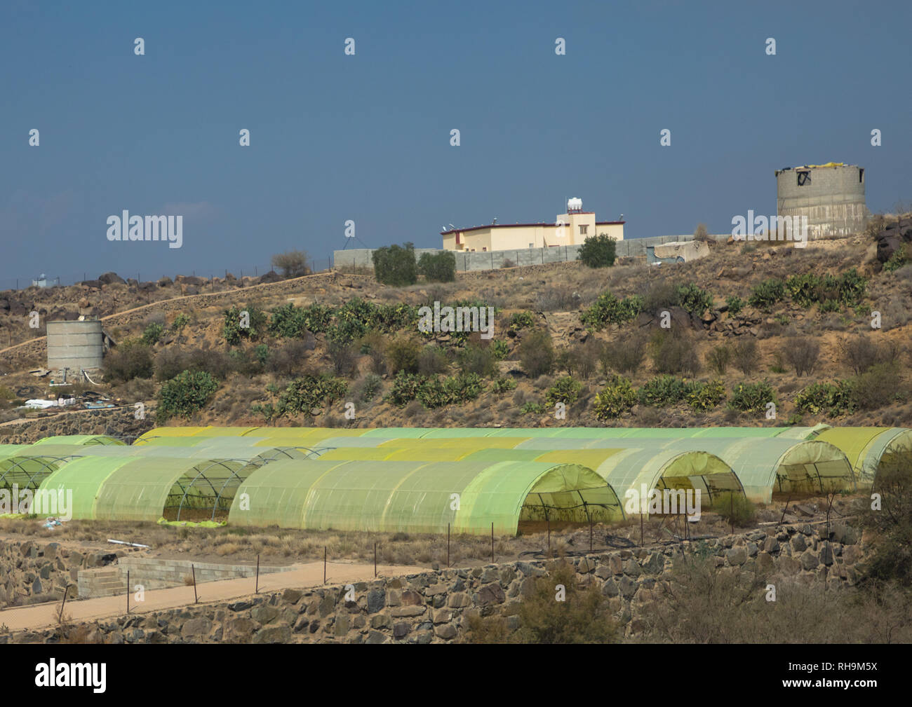 Aseer farm hi-res stock photography and images - Alamy