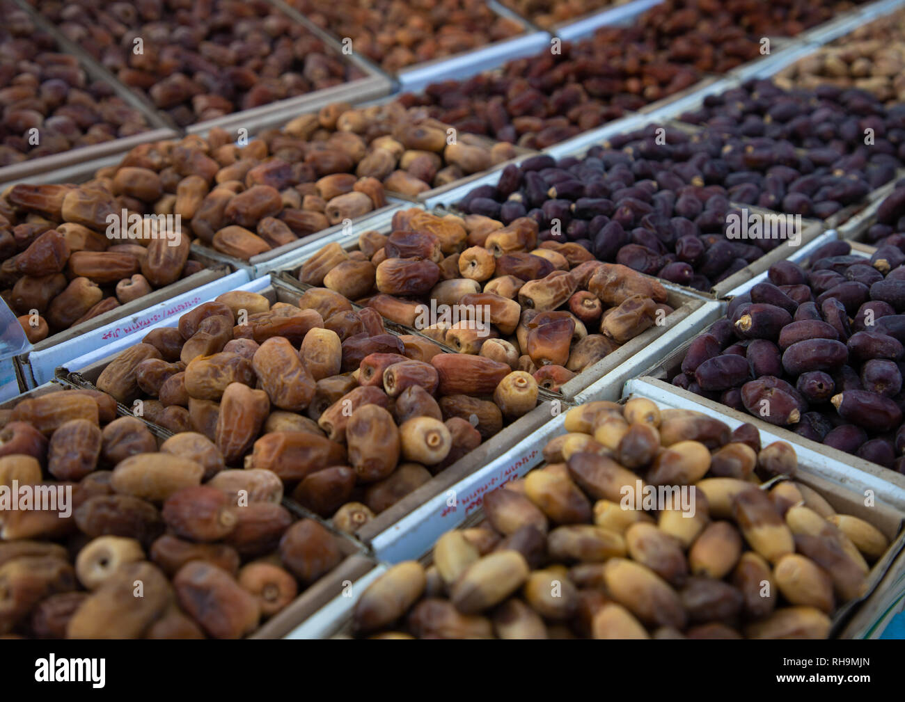 Saudi181678 hi-res stock photography and images - Alamy