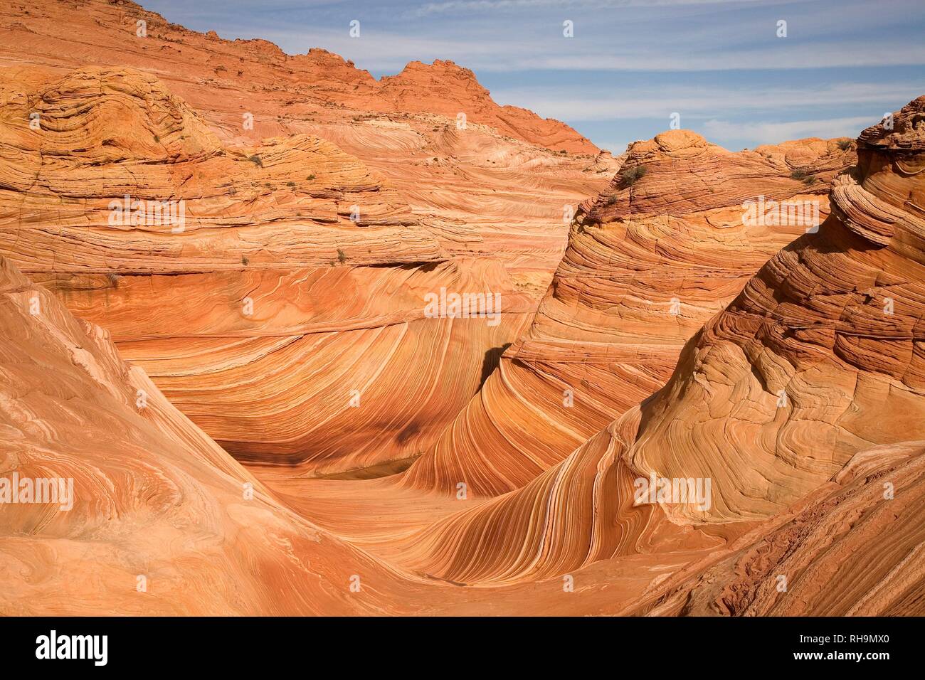 The Wave, red sandstone wave, Coyote Buttes North, Paria Canyon ...