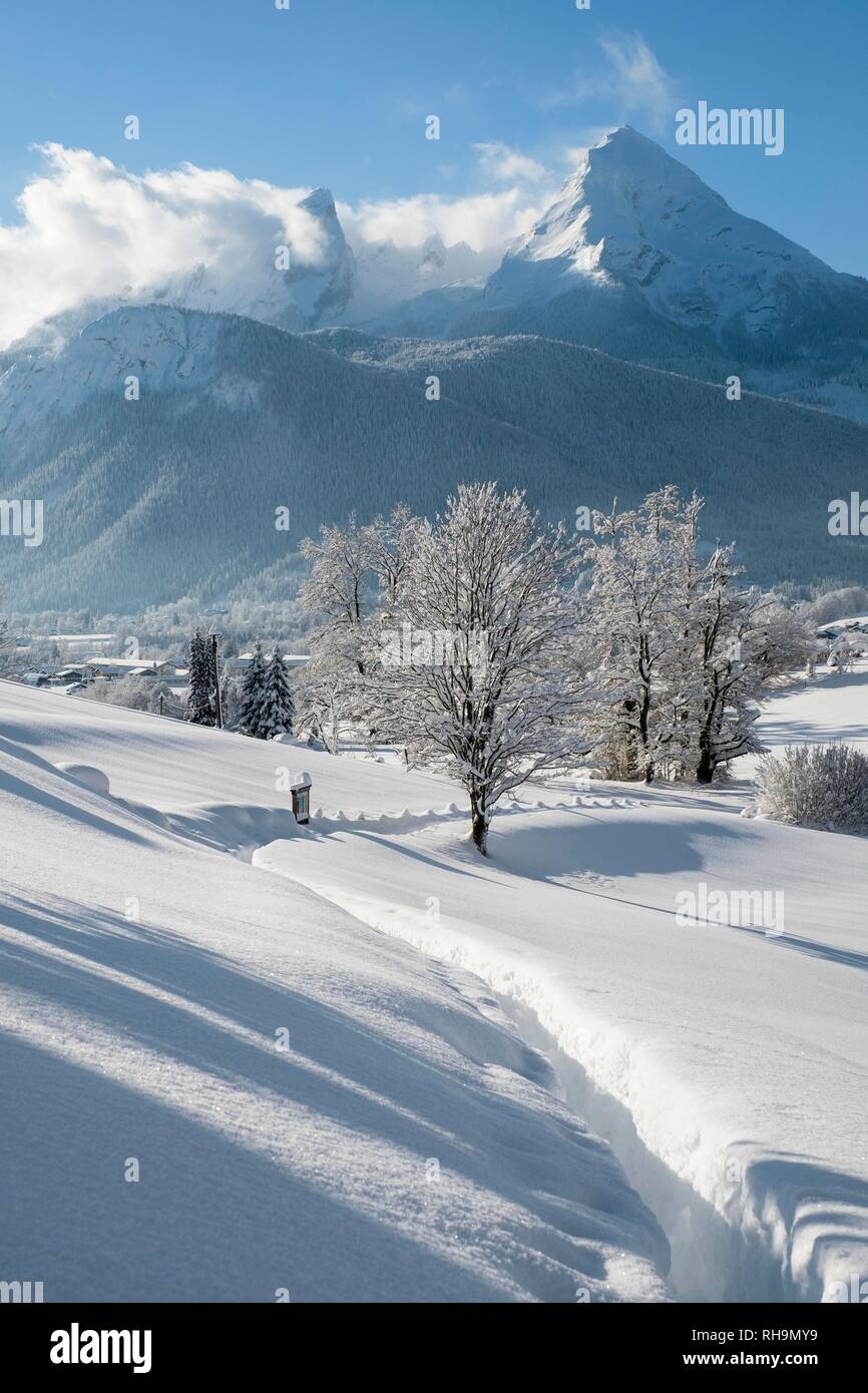Winter landscape with view of the Watzmann, Bischofswiesen National ...