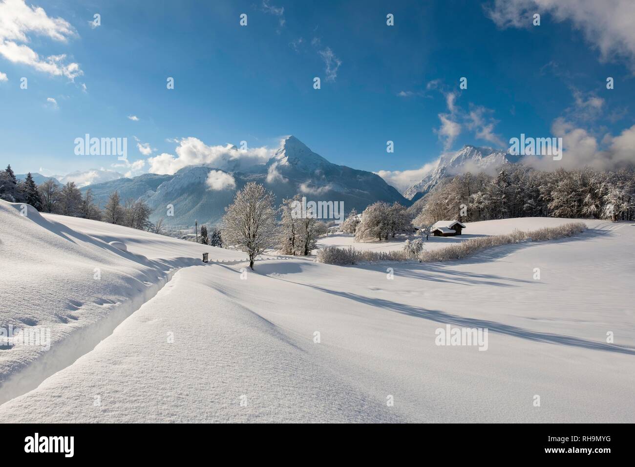 Winter landscape with view of the Watzmann, Hochkalter on the right ...