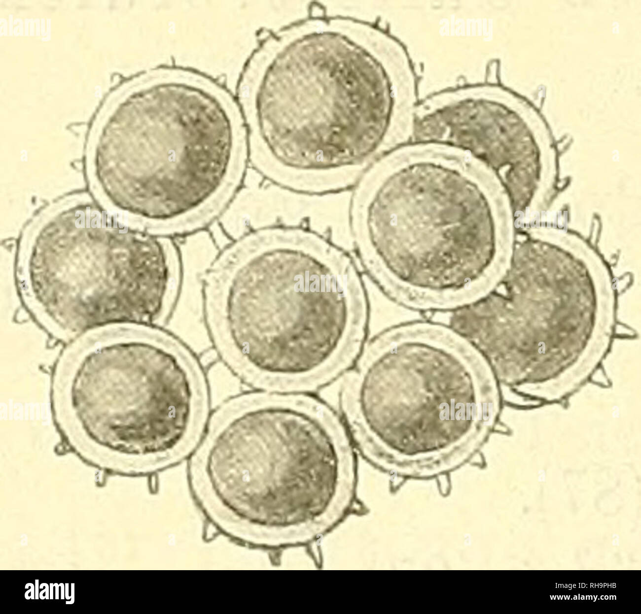 Teiche und gesehen hi-res stock photography and images - Alamy