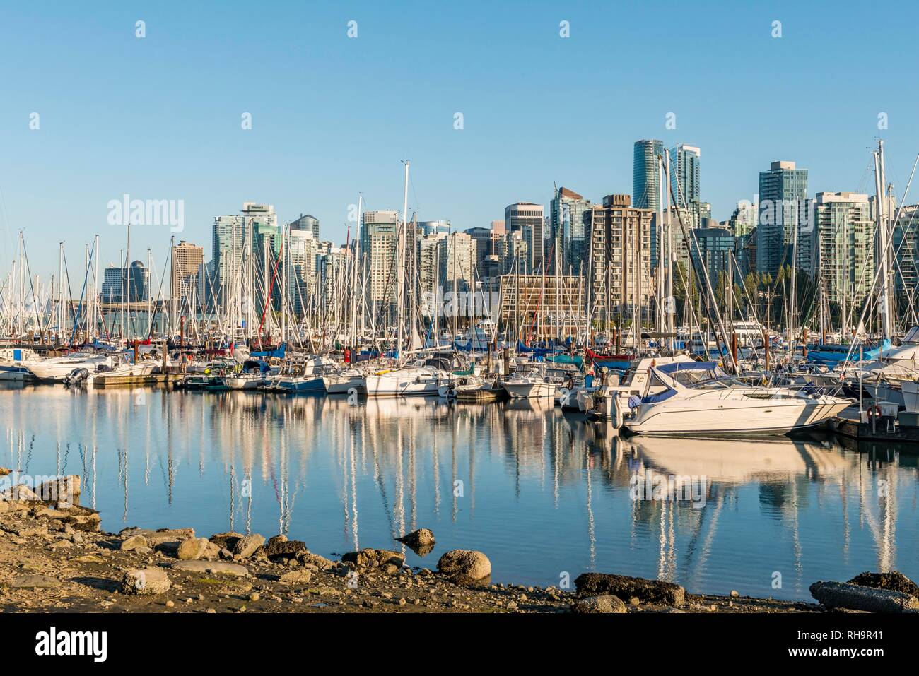 Portside marina hi-res stock photography and images - Alamy