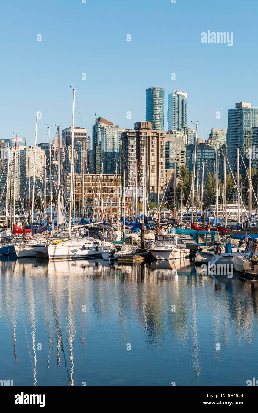 Marina with sailboats, back city centre with skyscrapers, Coal Harbour ...