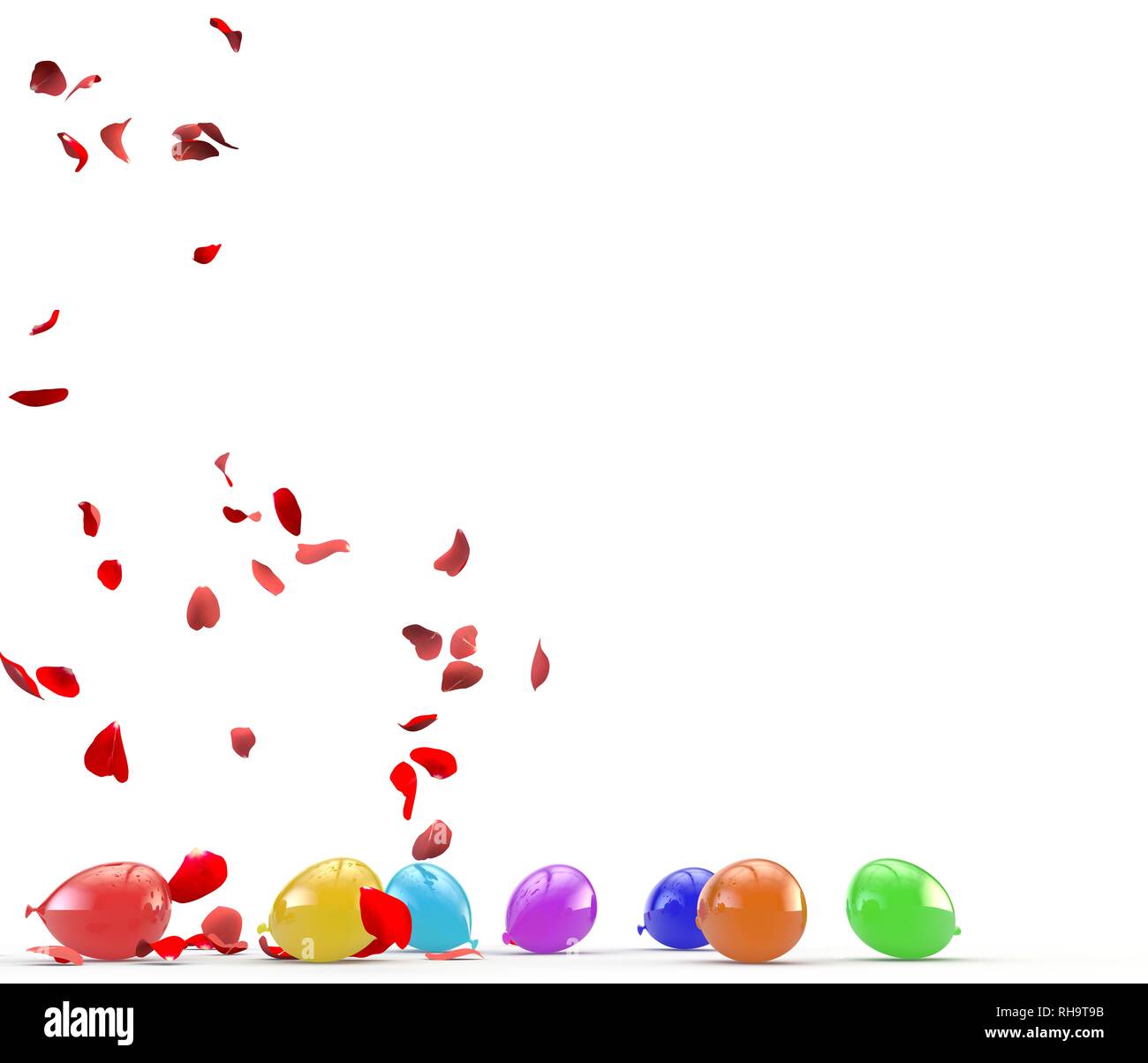Petals of a red rose fly on multi-colored balloons. Isolated white ...