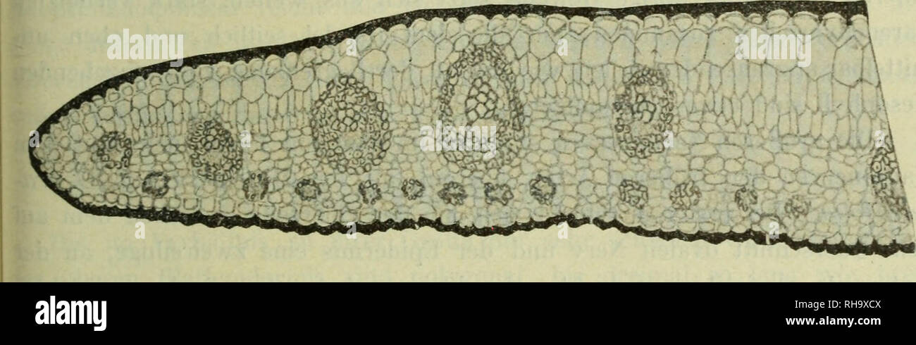 Zur ellipse hi-res stock photography and images - Alamy