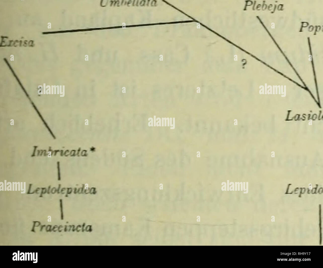 . Botanische Jahrbu?cher fu?r Systematik, Pflanzengeschichte und ...