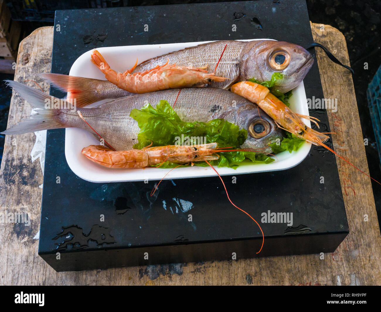 Pagellus bogaraveo in italiam pezzogna mediterranean fish at market ...