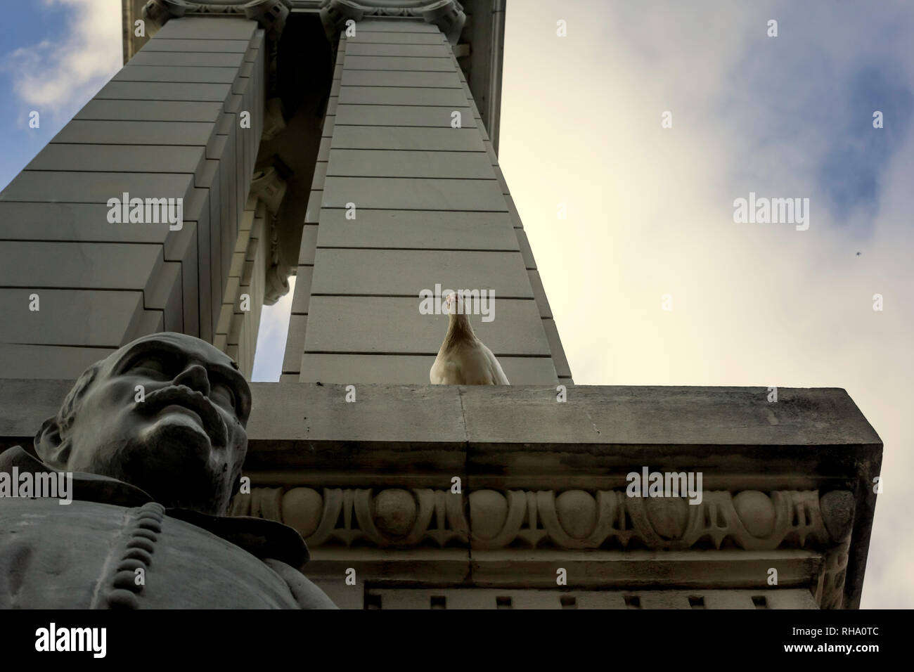 Dove on monument with face of sculpture by sculptor Martinez Montañés ...