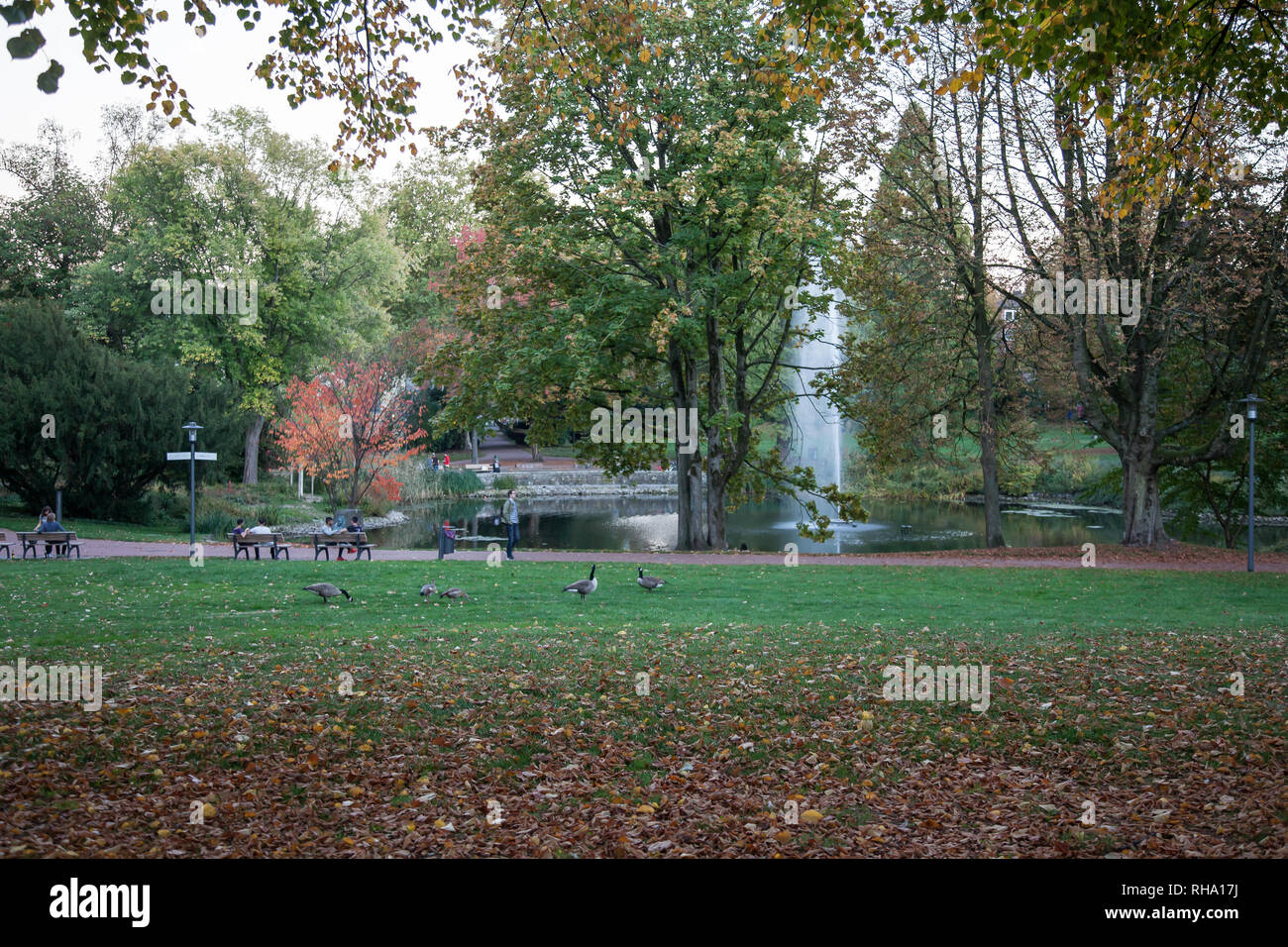 Stadtgarten hi-res stock photography and images - Alamy