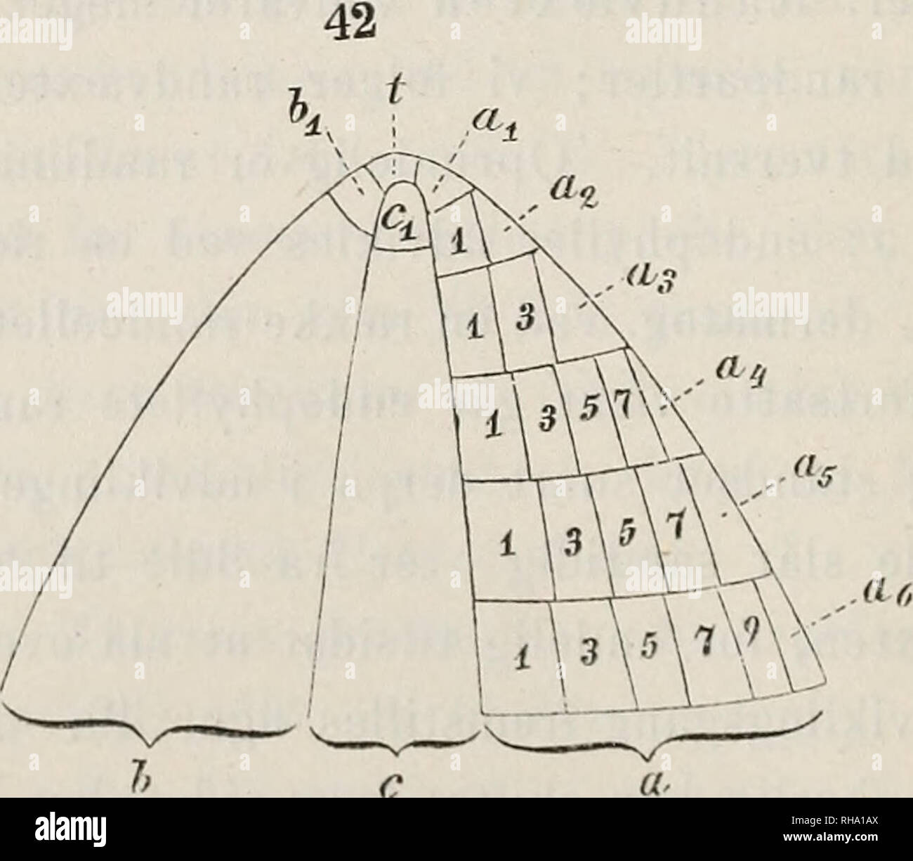 Randlinien hi-res stock photography and images - Alamy
