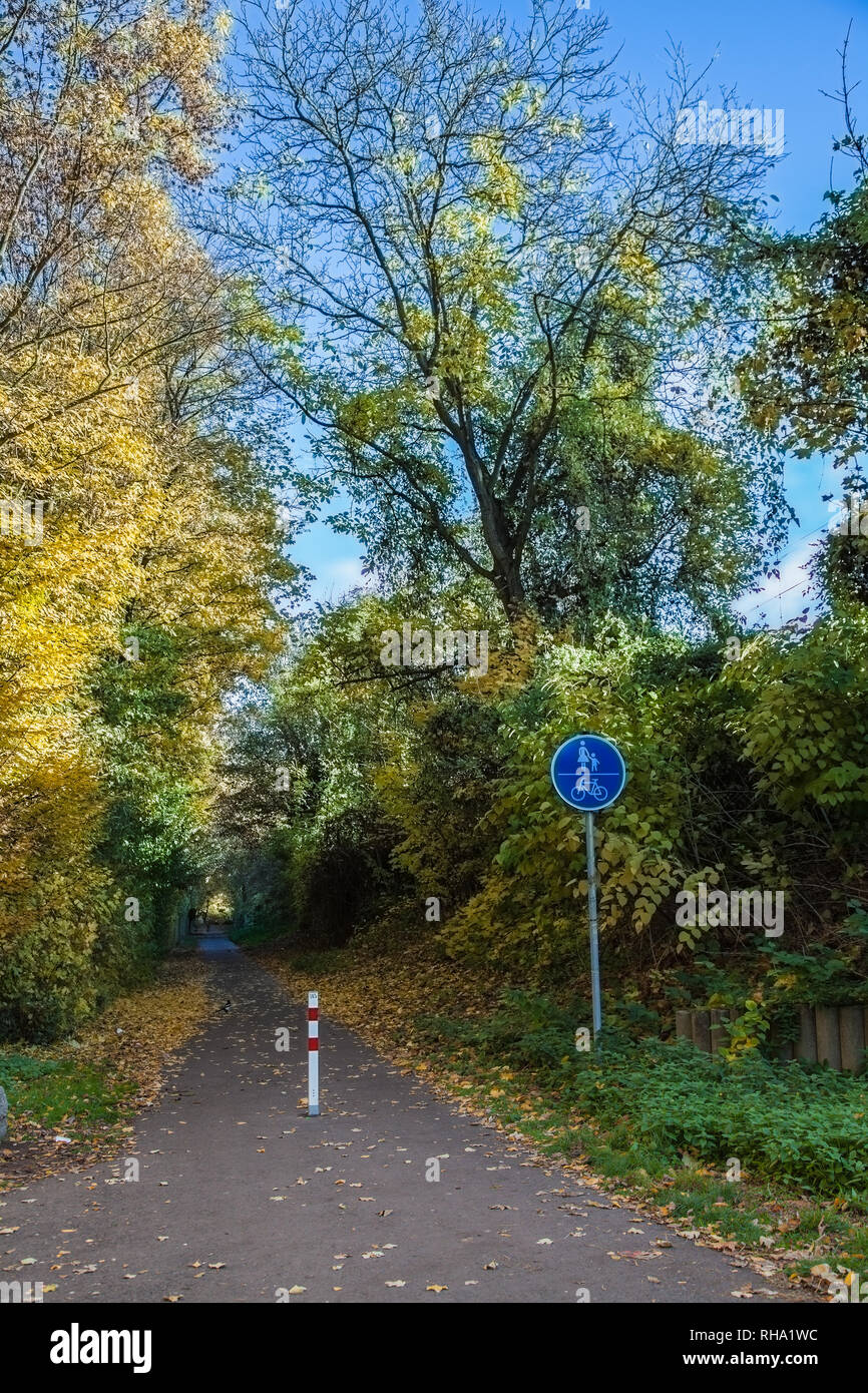 a footpath with trees in autumn sunshine Stock Photo - Alamy