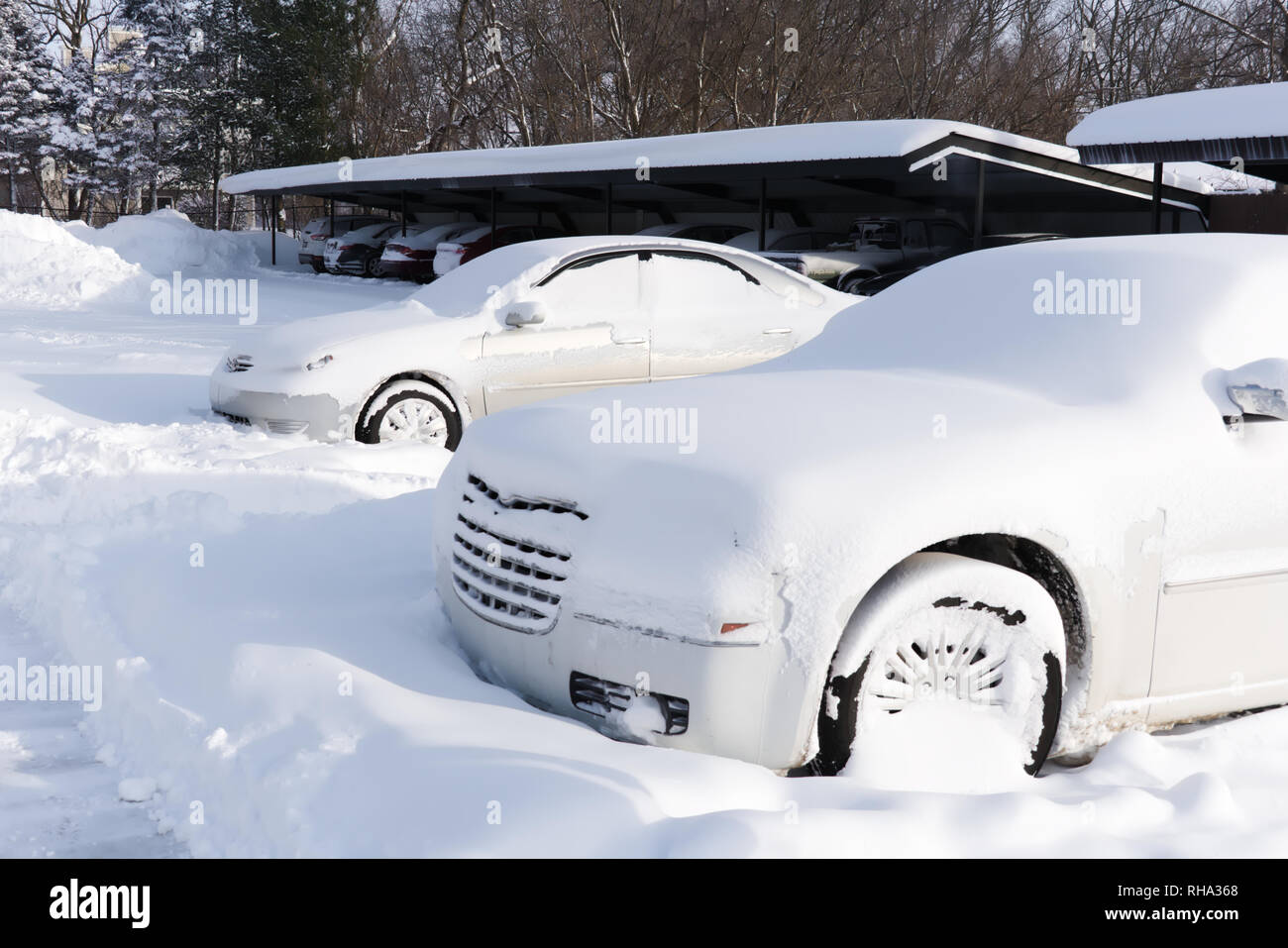 Cars covered by snow Stock Photo - Alamy