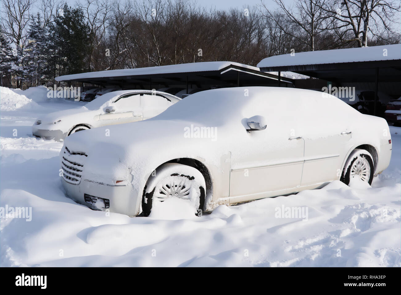 Car snow blizzard trees hi-res stock photography and images - Alamy
