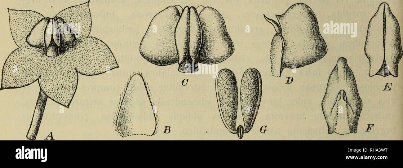 Curva acuta hi-res stock photography and images - Alamy