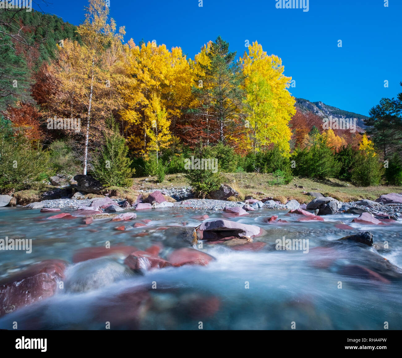 Cinca hi-res stock photography and images - Alamy