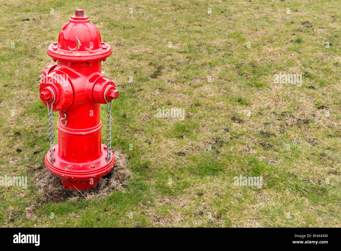 bright red fire hydrant surrounded by grass Stock Photo - Alamy