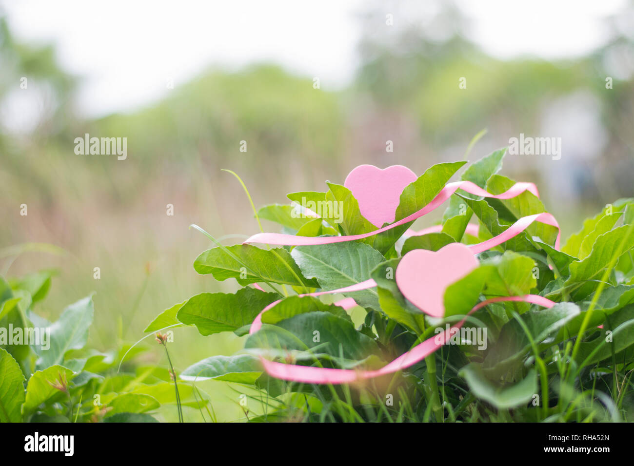 Hearts in nature hi-res stock photography and images - Alamy