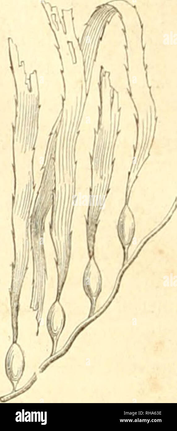 Lineas transversales hi-res stock photography and images - Alamy
