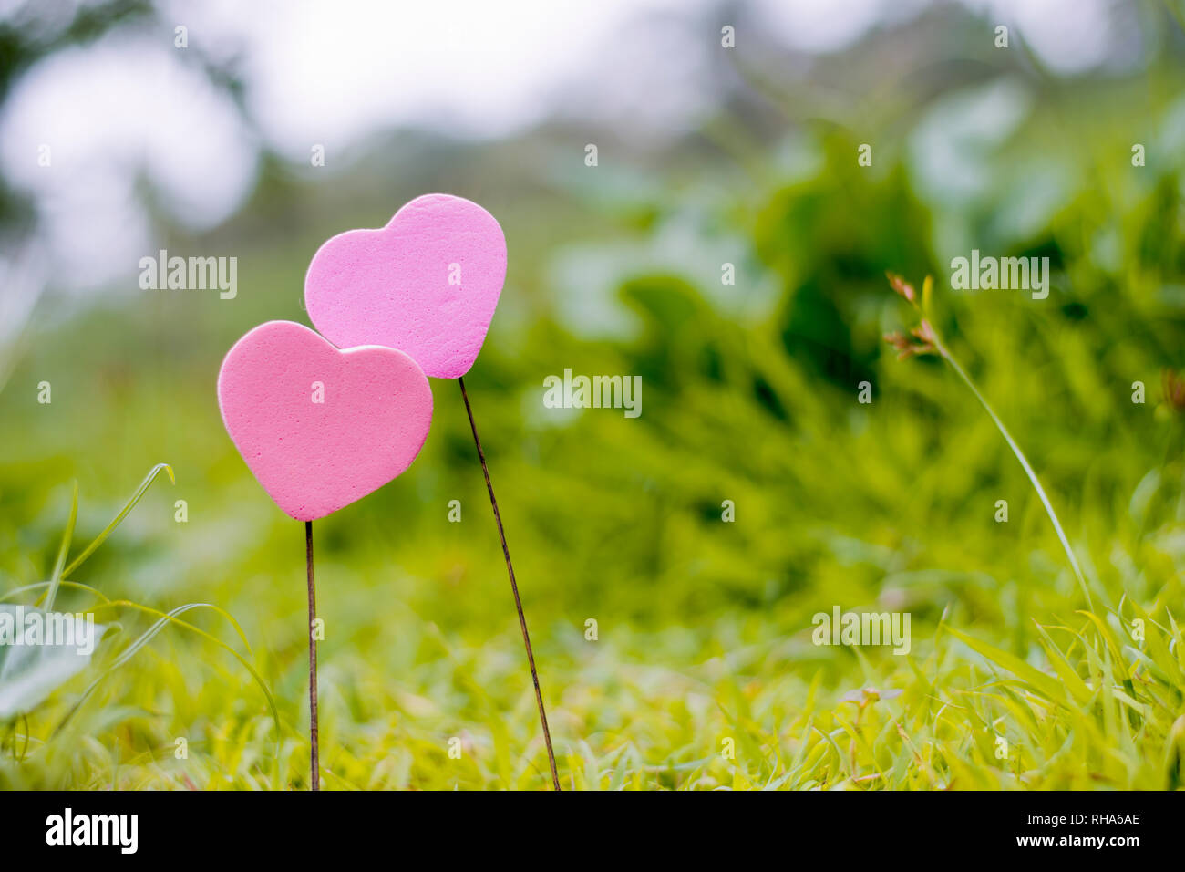 Images Of Hearts In Nature Hearts In Nature Images – Browse