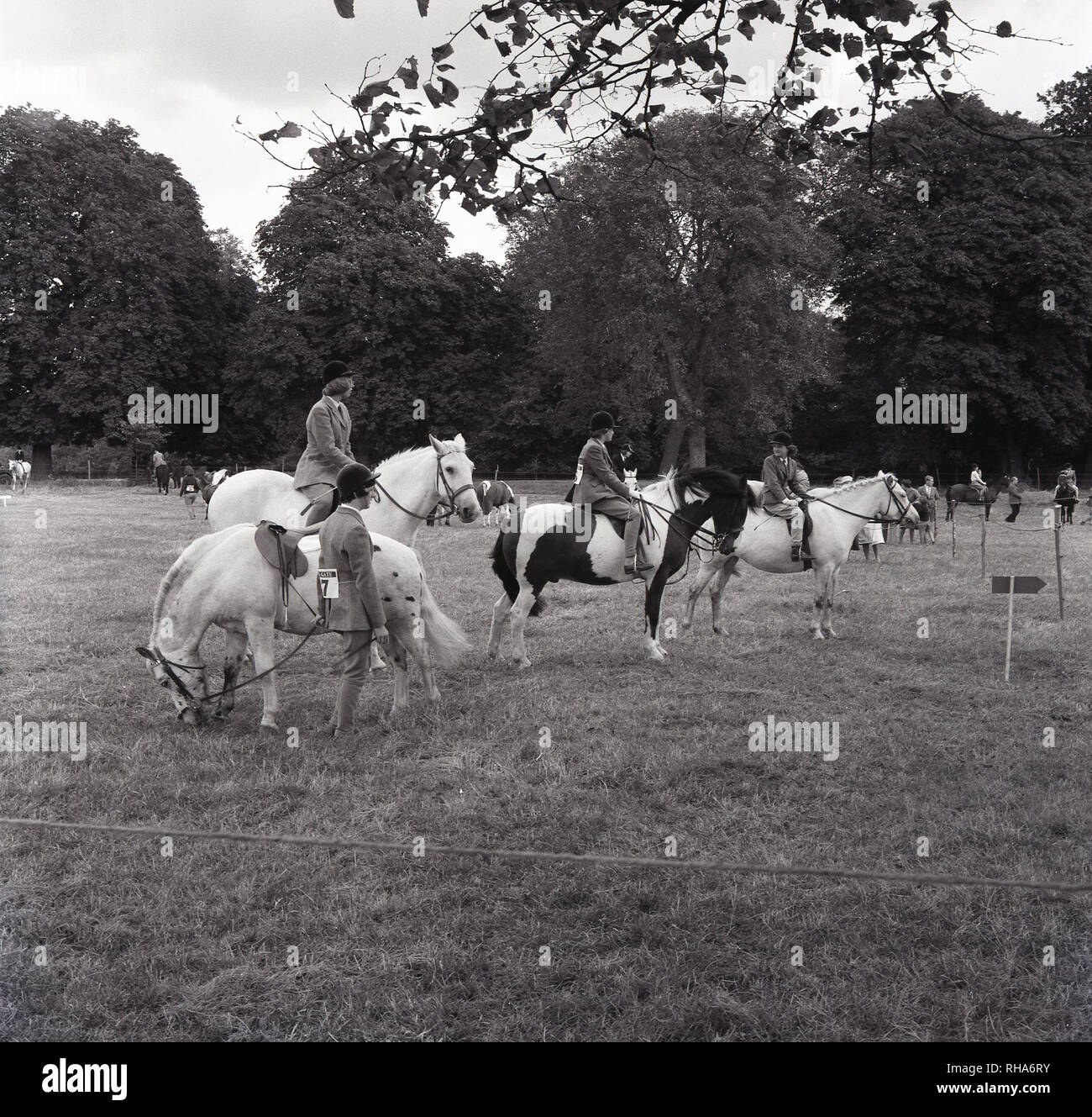 1964, historical, young riders, boys and girls taking part in an ...