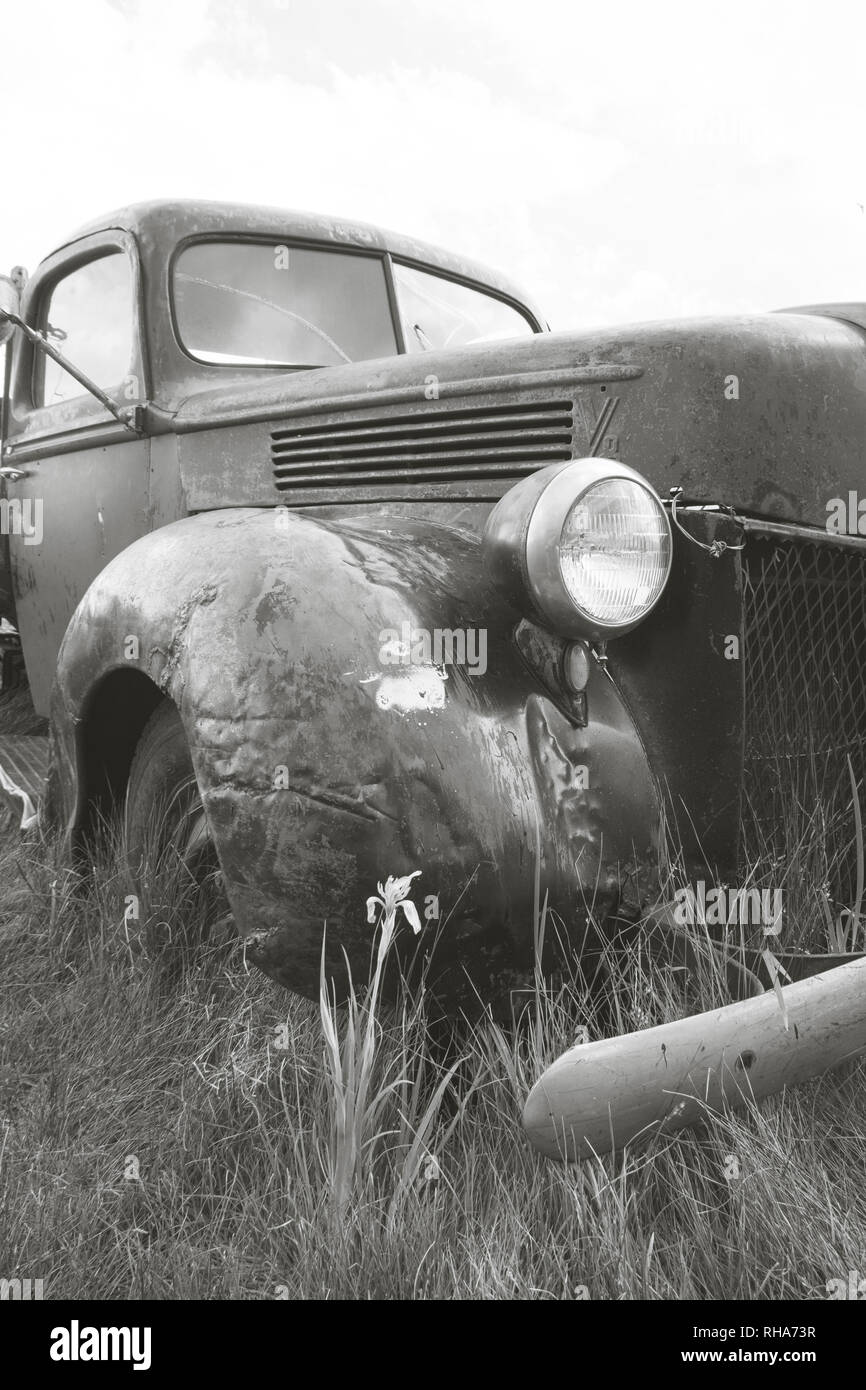 A rusty abandoned jalopy truck sits in a field in the ghost town Stock ...