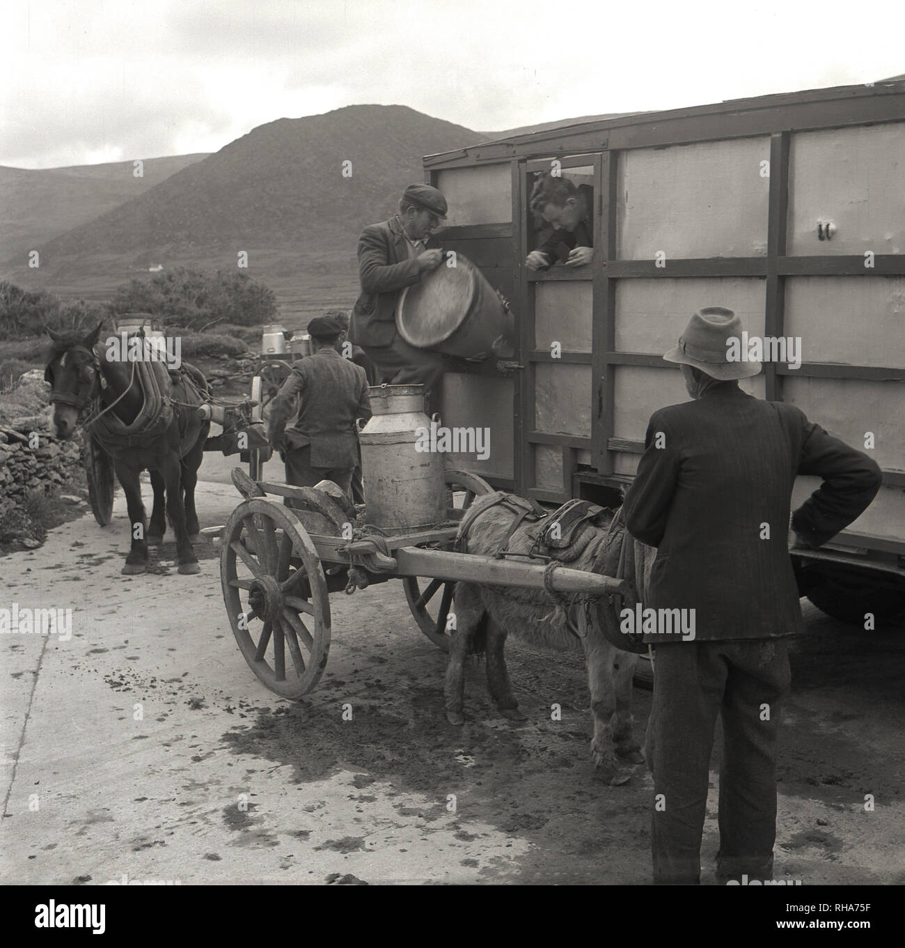 1950s, historical, local Irish farmer or smallholder with a metal milk churn standing on the ...