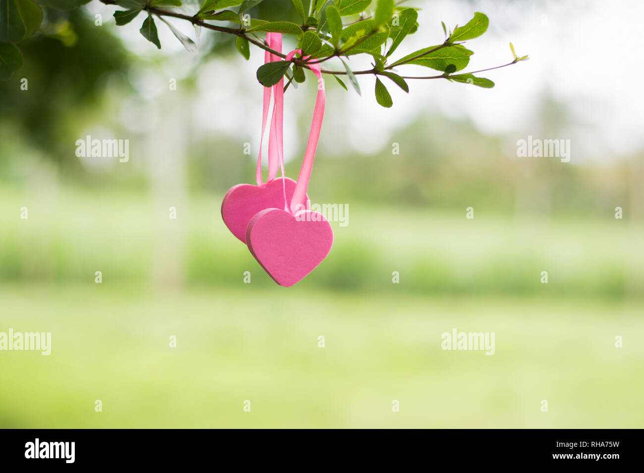 Two hearts in nature Stock Photo - Alamy
