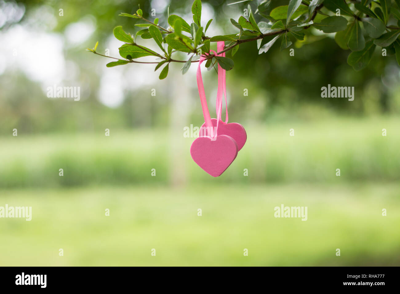 Two hearts in nature Stock Photo - Alamy