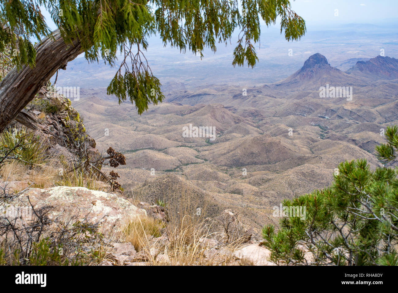 Big bend national park texas cactus hi-res stock photography and images ...