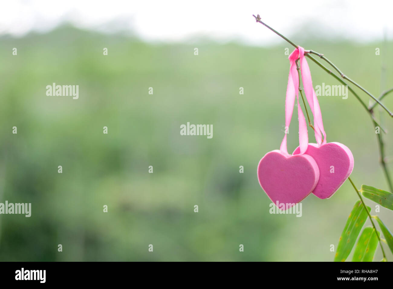 Two hearts in nature Stock Photo - Alamy