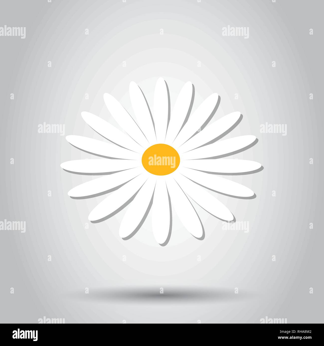 Chamomile flower vector icon in flat style. Daisy illustration on white ...