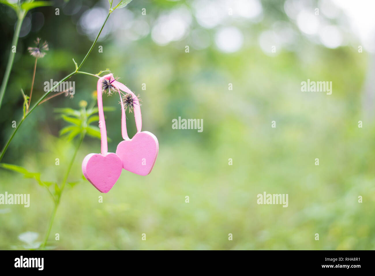 Two hearts in nature Stock Photo - Alamy