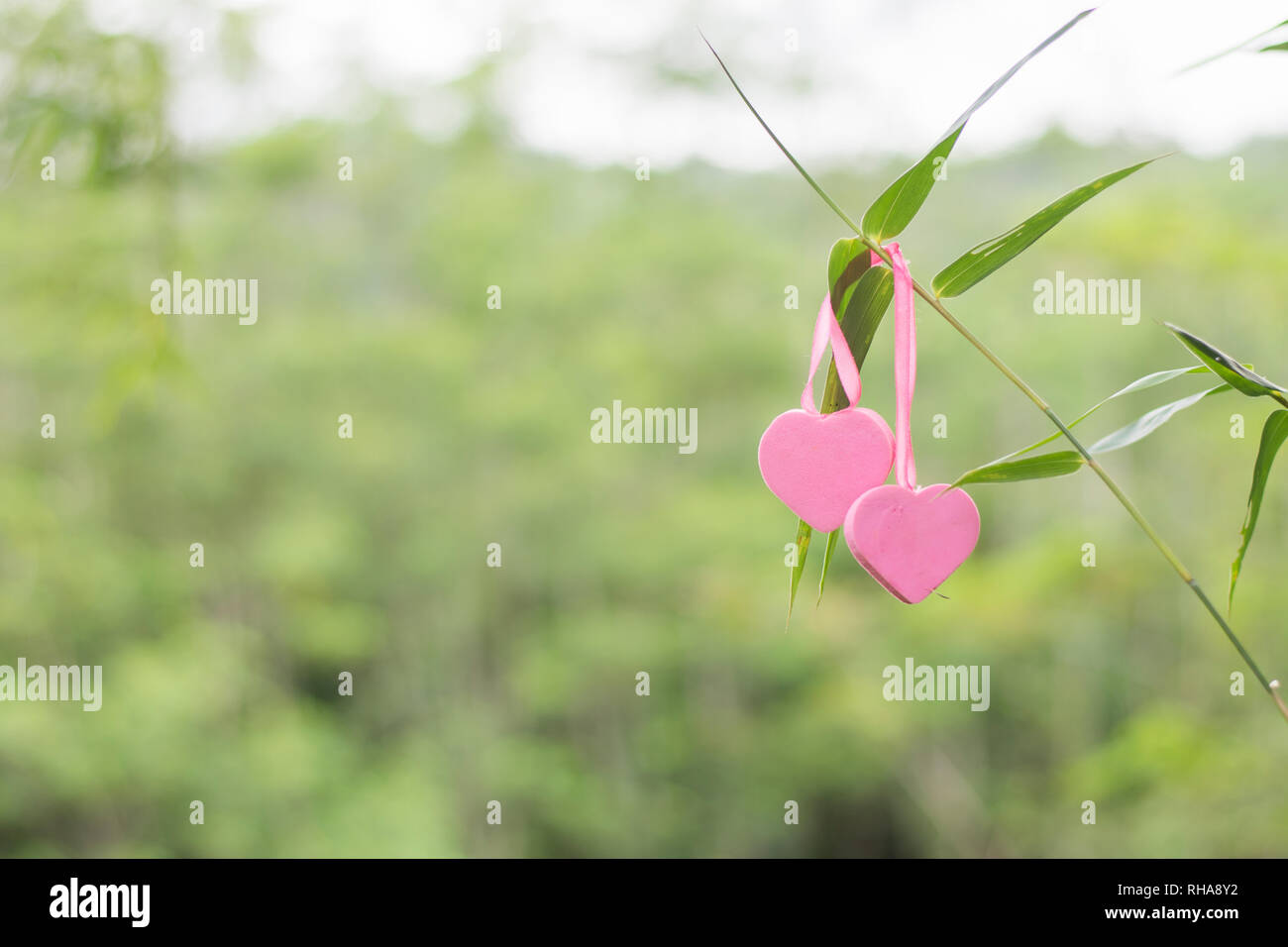 Two hearts in nature Stock Photo - Alamy