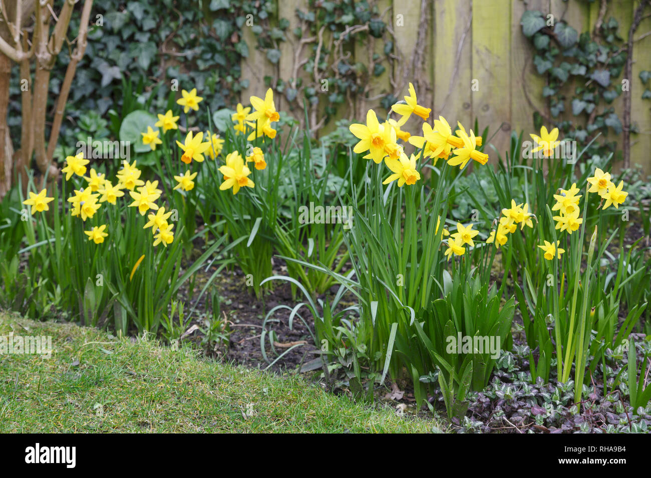 Garden lawn borders spring hi-res stock photography and images - Alamy