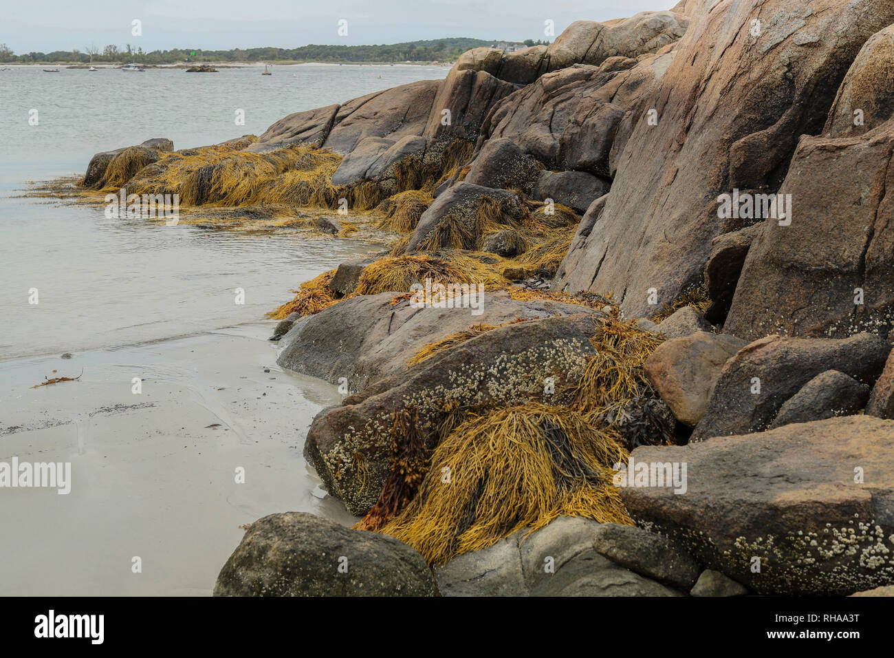 Algonquian wigwam hi-res stock photography and images - Alamy