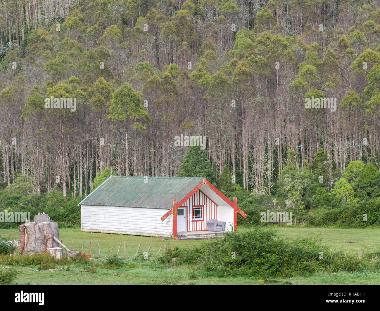 The wharenui Te Ohaki, Otekura marae, Ruatāhuna, The primary hapū are ...