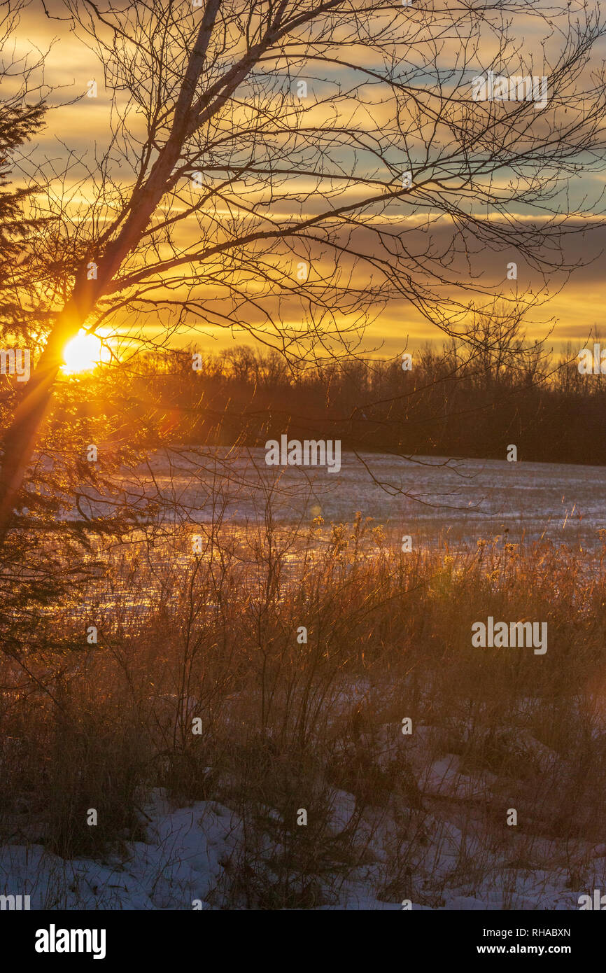Minnesota winter trees landscape hi-res stock photography and images ...
